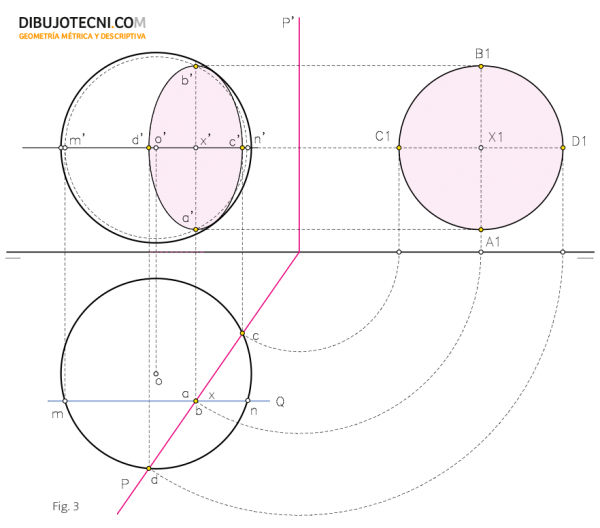Representación y sección de la esfera · Dibujo Técnico